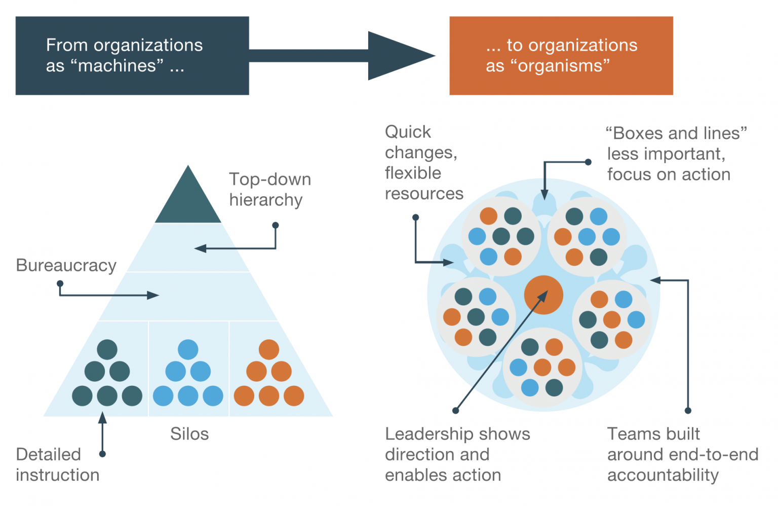 Complexity Theory Over Complexiteit In Organisaties And Agile 5796
